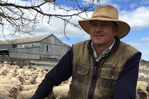 The Board | Sheep Sustainability